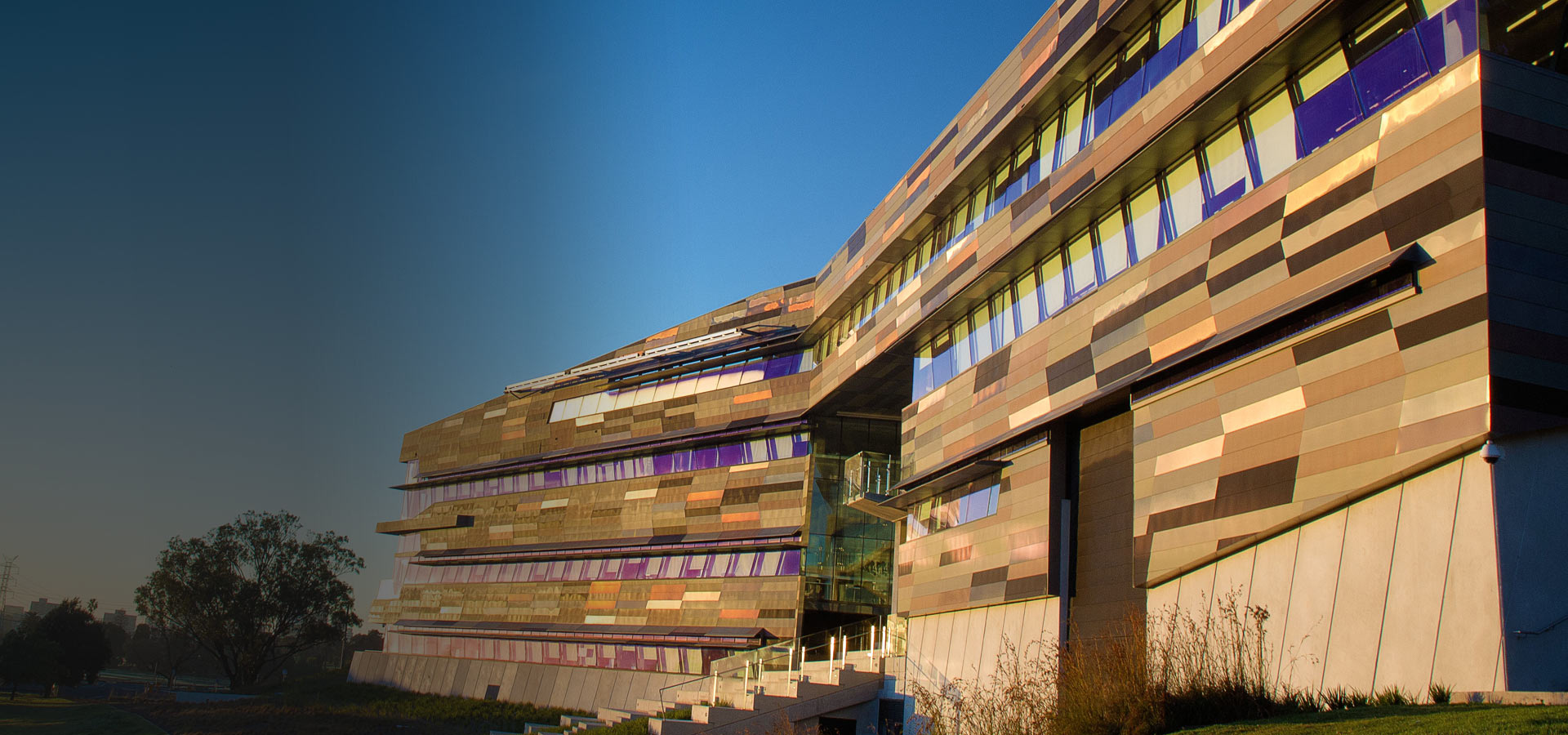 About VU | Victoria University