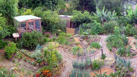 Creating your own food forest at home - free workshop | Victoria University