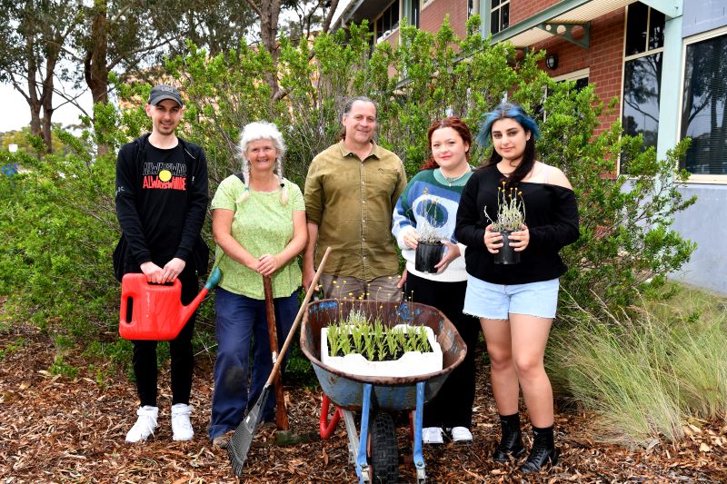 VU early-entry program helps restore native wildflowers | Victoria ...