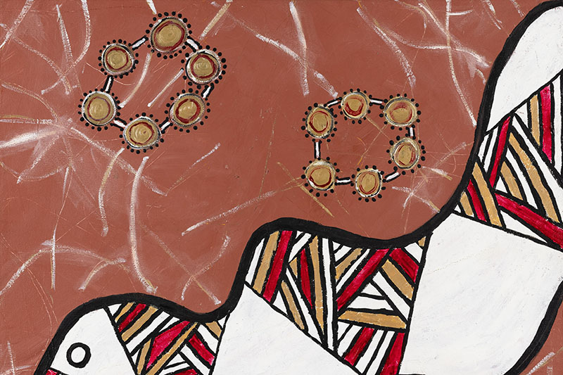 Protecting Country – VU Extra | Victoria University