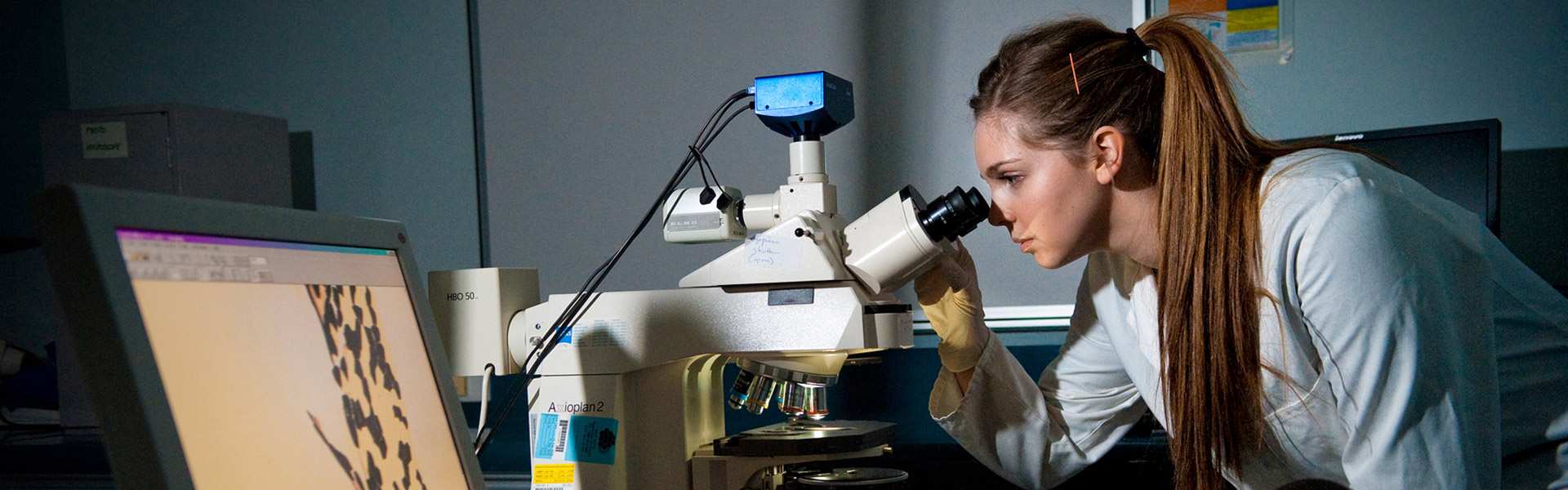 Research | Victoria University