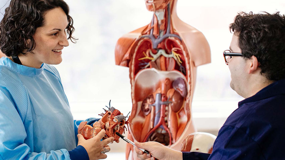 VU Research & Impact Plan launched | Victoria University